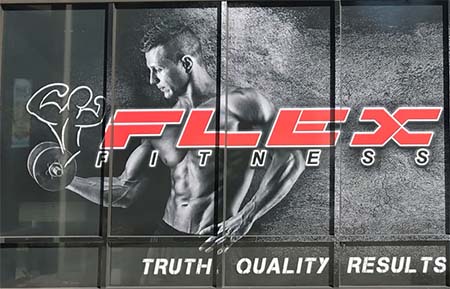 Flex Fitness Laguna Beach CA | Alluvit